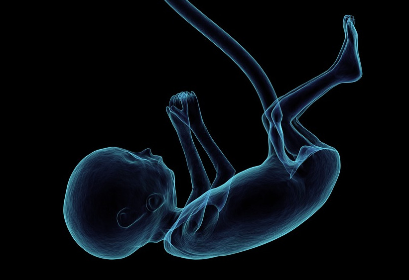 infant-soul-age | Wiseones - Meaning of life, destiny and the soul